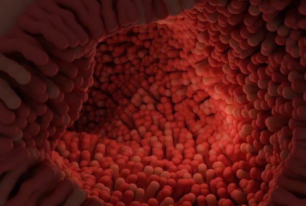Dalingo 82,5 mg: ¿Para qué sirve y cuándo se utiliza?
