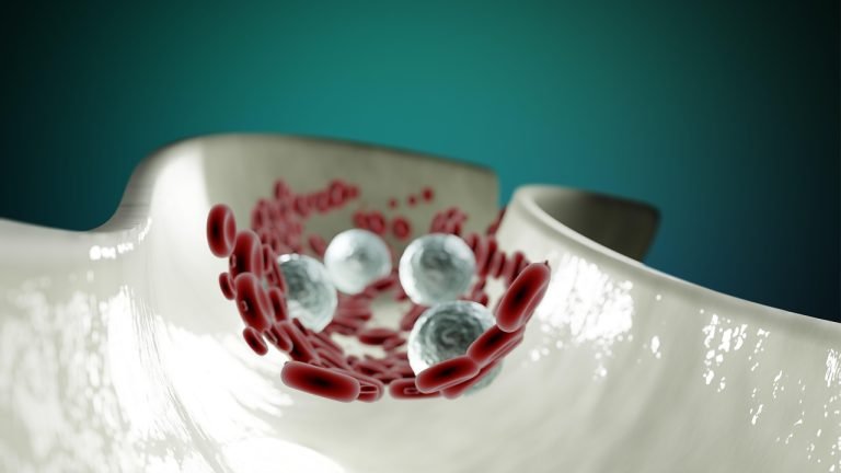 Seguril para qué sirve: Usos y Beneficios